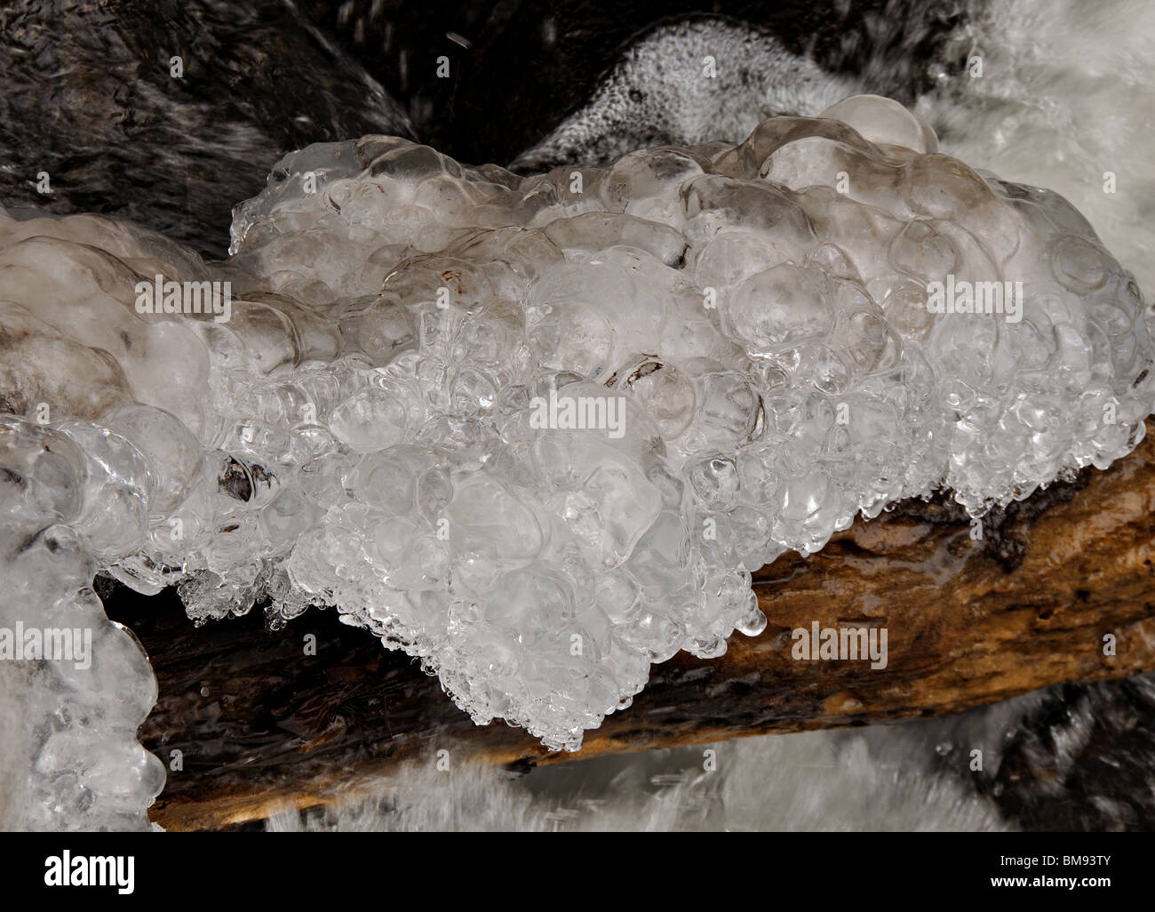 Ice bubbles frozen on a log Stock Photo - Alamy