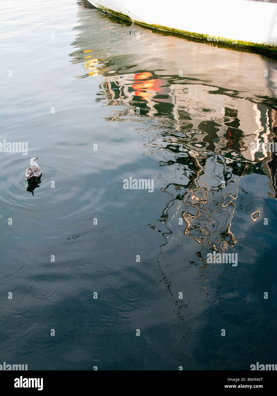 Abstract Reflection of Fishing Boat in Ocean with Seagull Stock Photo ...