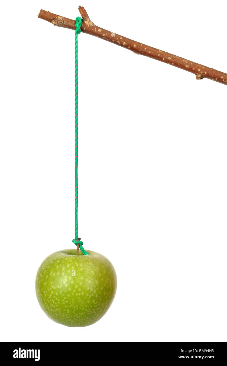 Hanging apple hi-res stock photography and images - Alamy