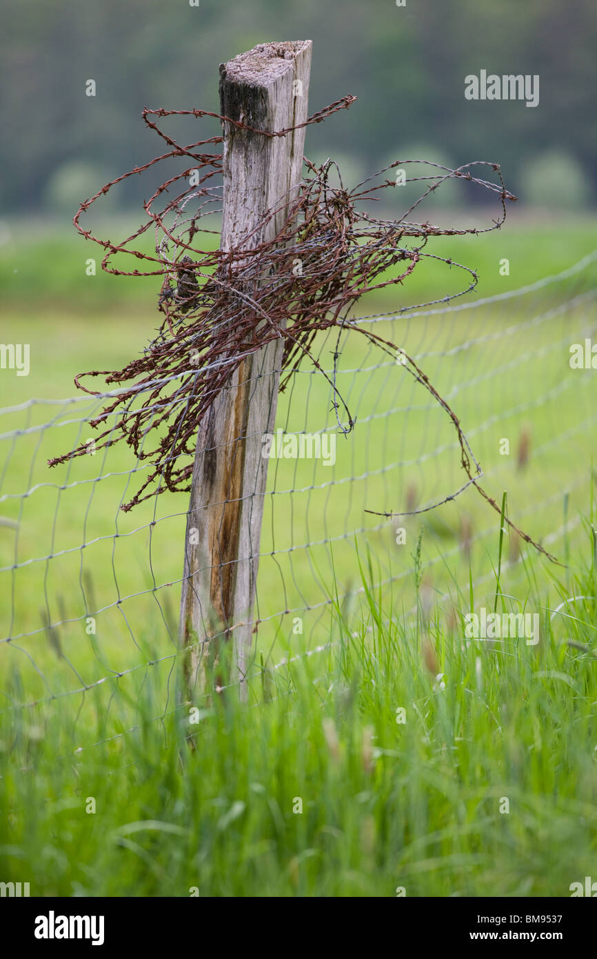 pasture fence with barbed wire on a meadow Stock Photo - Alamy