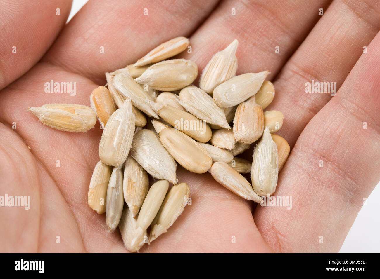 Shellless Sunflower Seed close up shot Stock Photo - Alamy