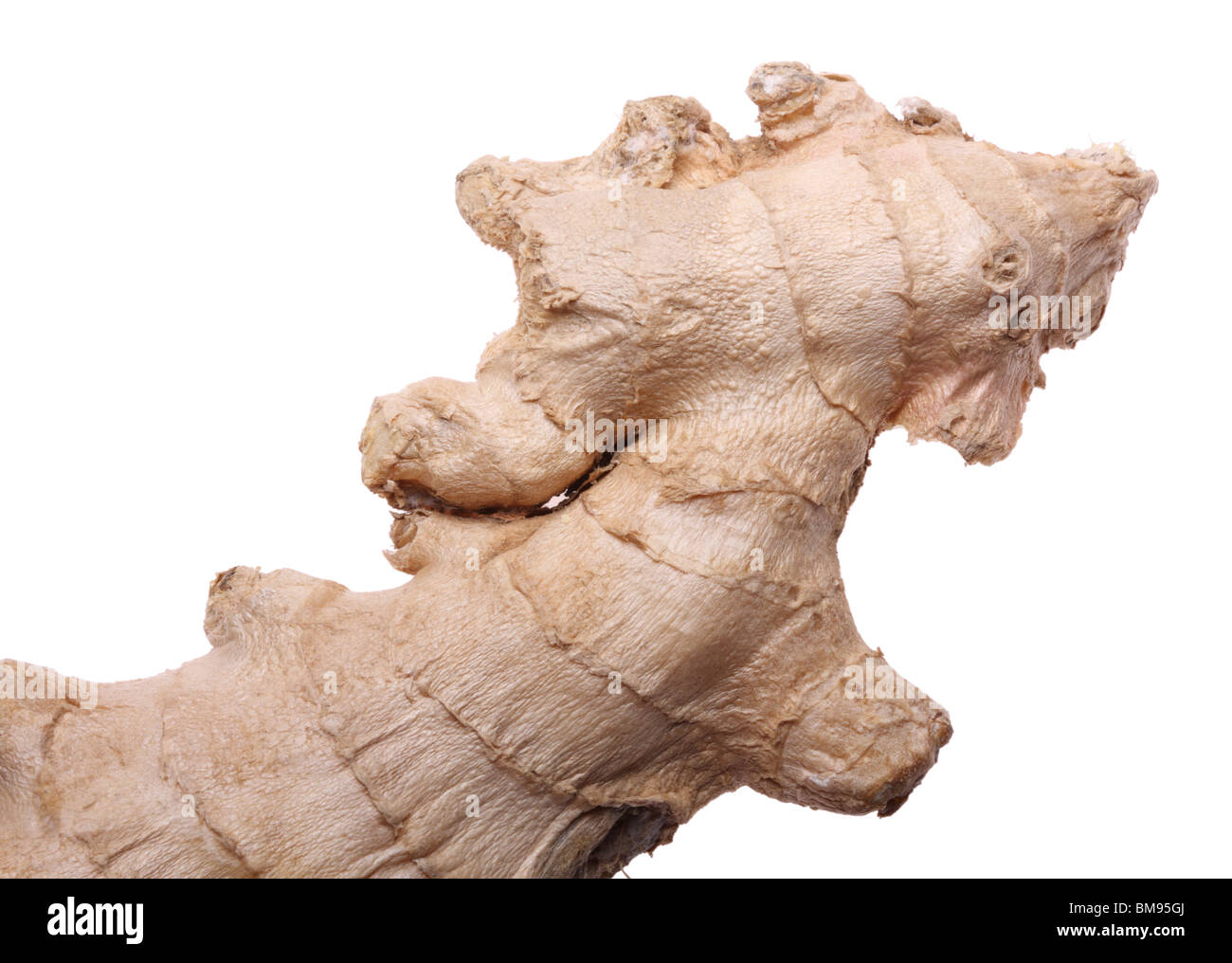 Ginger isolated on white background Stock Photo - Alamy