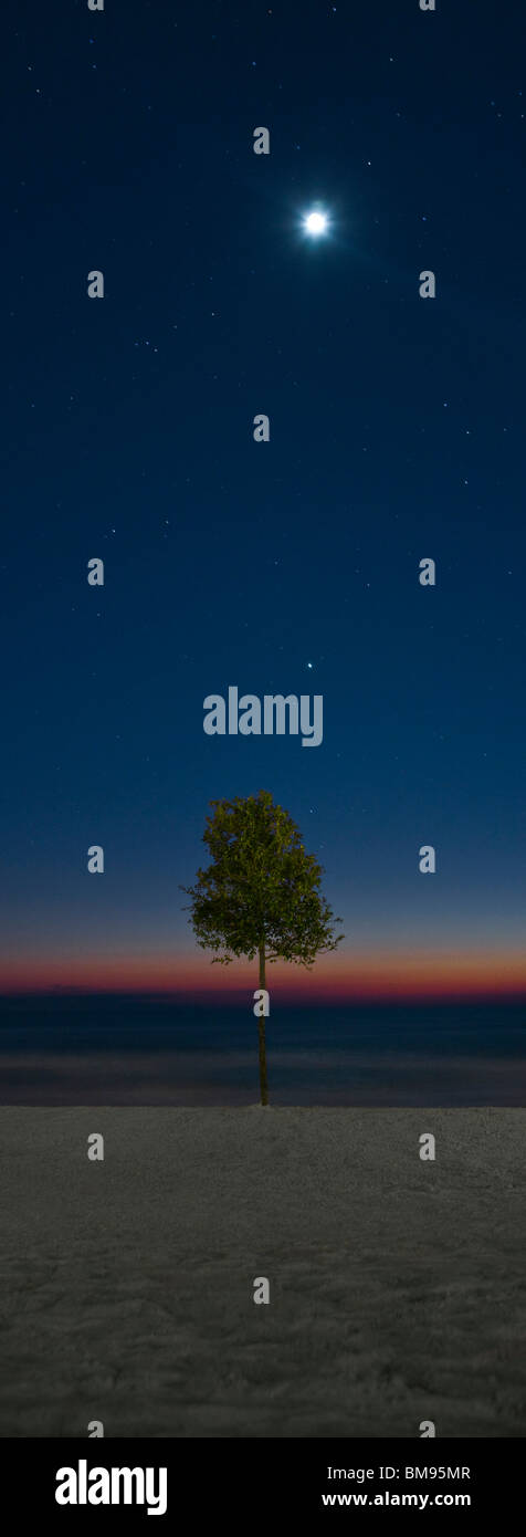 Growing moons hi-res stock photography and images - Alamy
