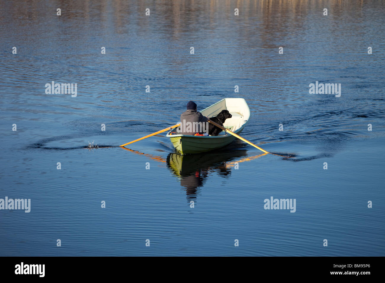 Fiberglass boat surface hi-res stock photography and images - Alamy