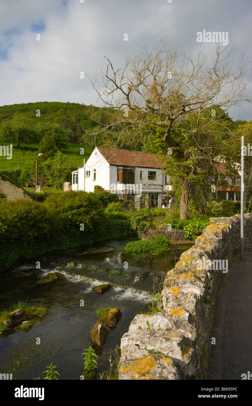 The River Yeo Flowing Down Cheddar Gorge Somerset England Stock Photo ...