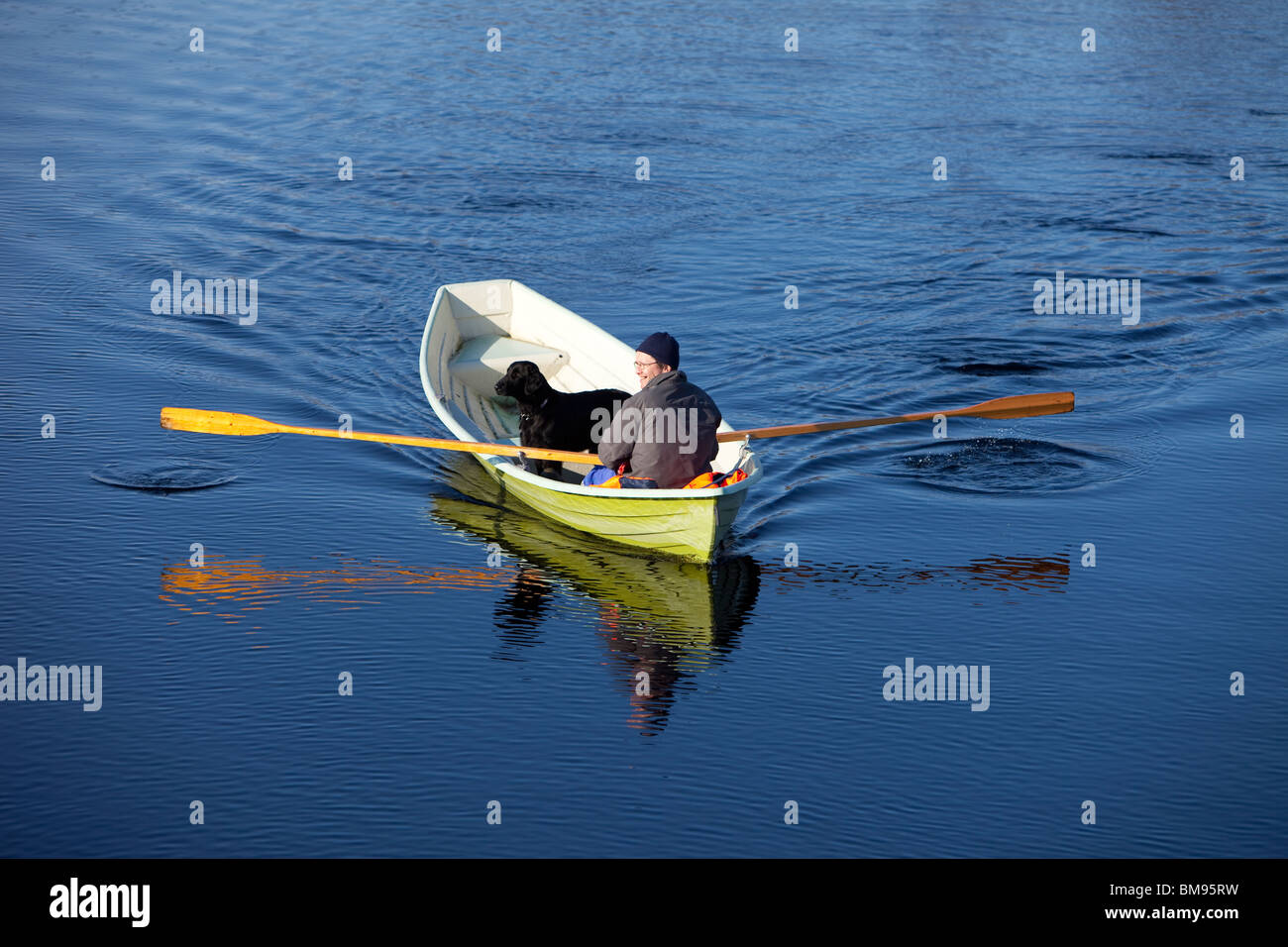 Man and a dog in a rowing boat hi-res stock photography and images - Alamy