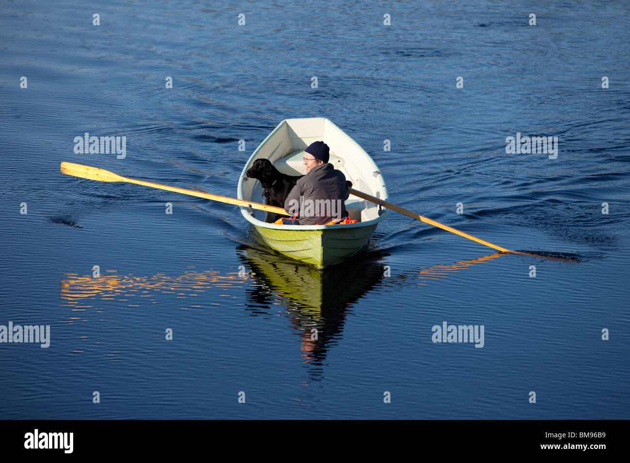 Man and black dog on a rowboat / skiff , Finland Stock Photo - Alamy