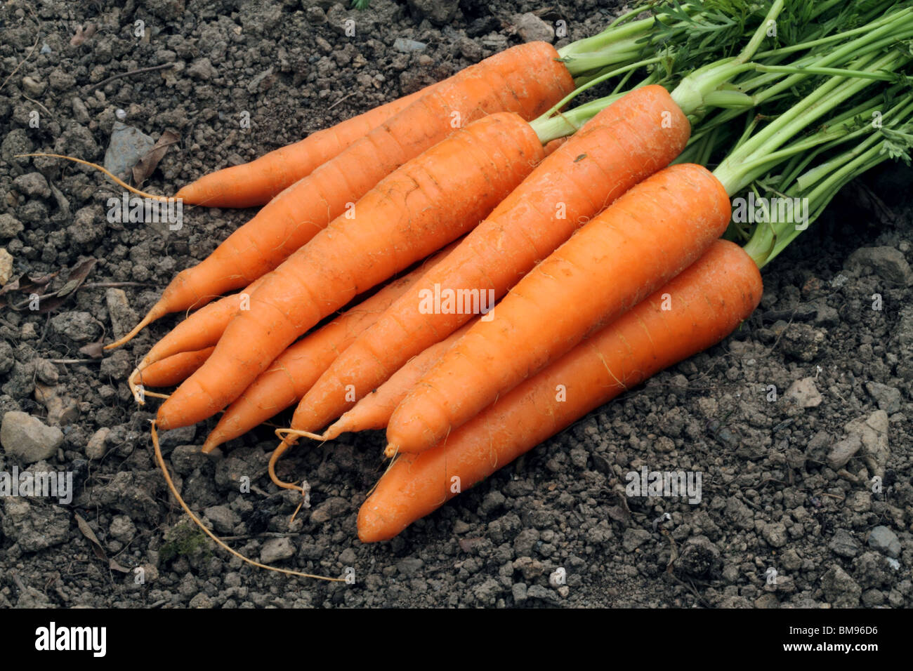 Whole organic hi-res stock photography and images - Alamy
