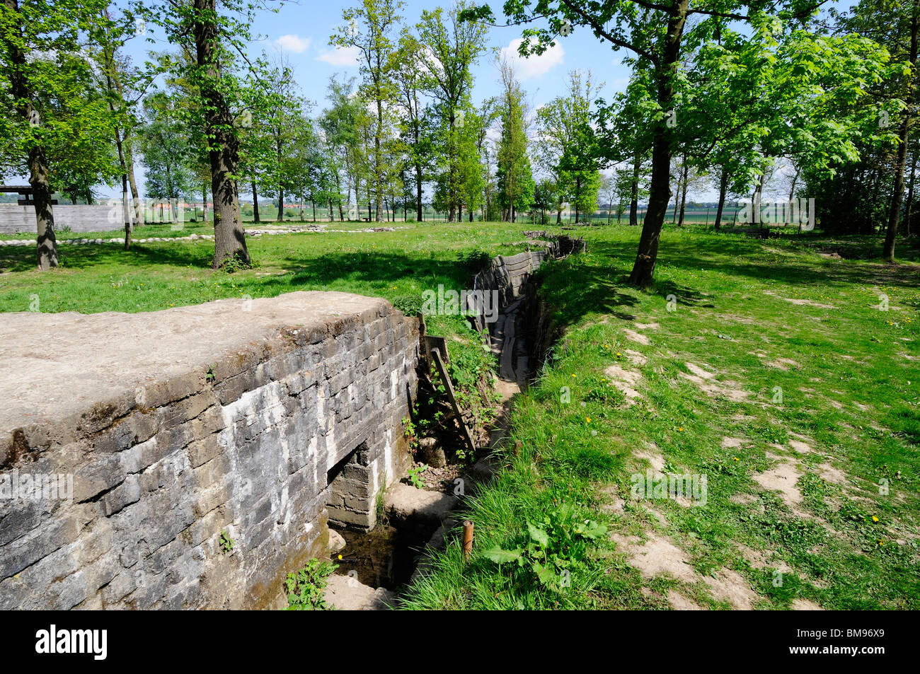 German First World War preserved trenches at Bayernwald, Ypres Salient ...