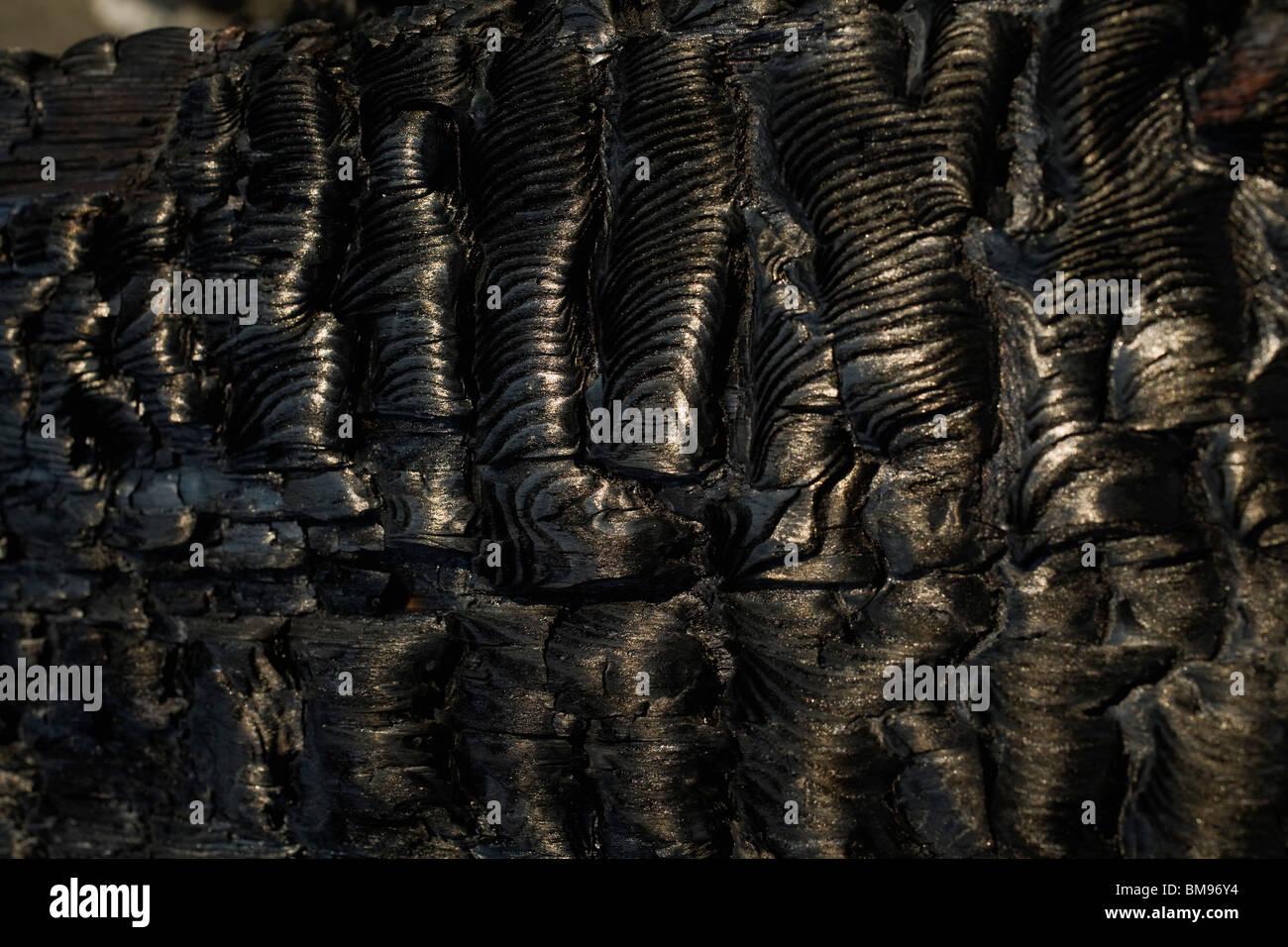 Close-Up Of Charred Wood Stock Photo - Alamy