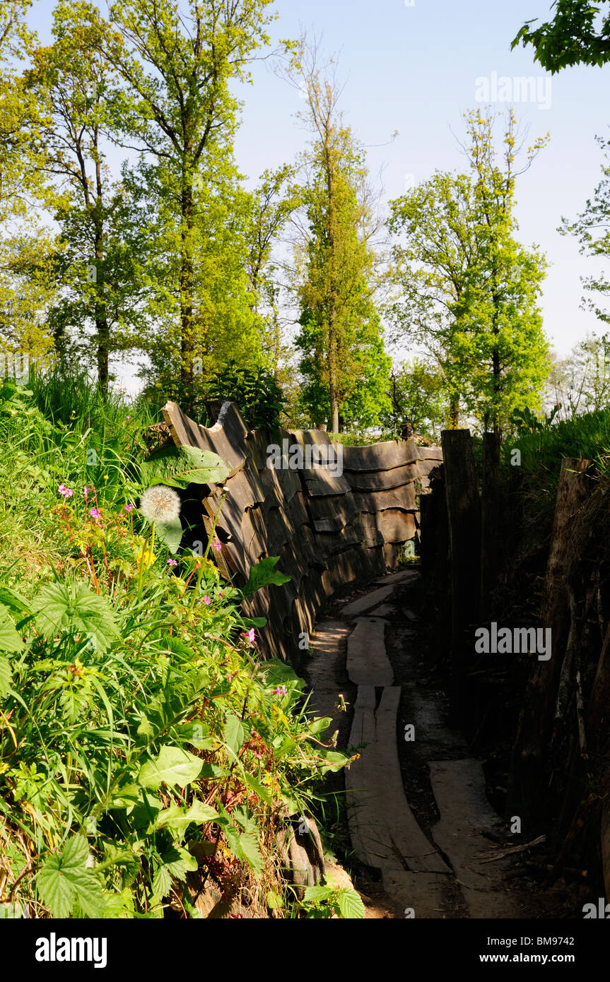 German First World War preserved trenches at Bayernwald, Ypres Salient ...