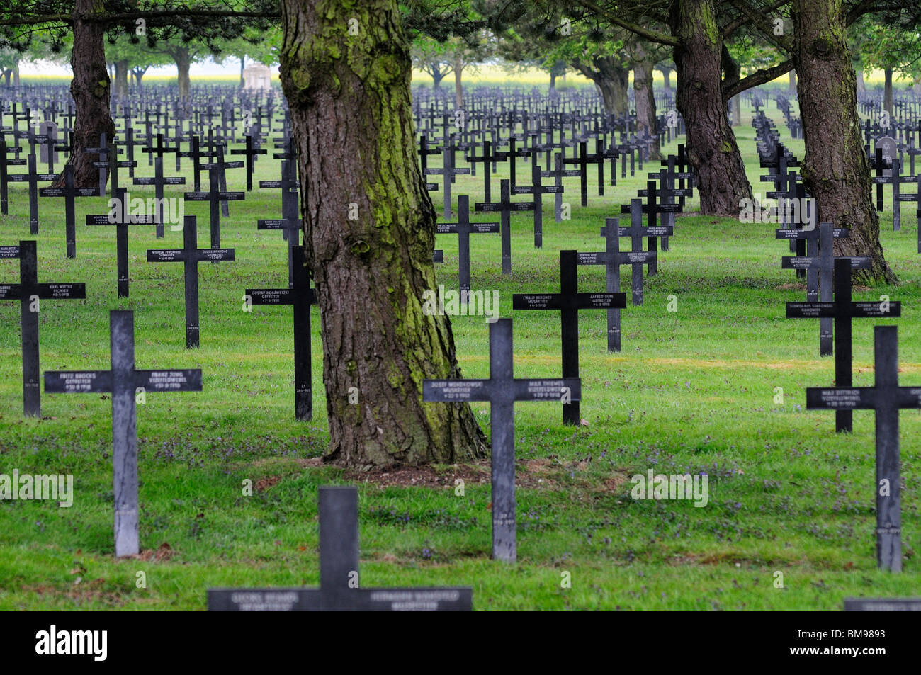 German war graves, World War One cemetery, Neuville-St Vaast, France ...