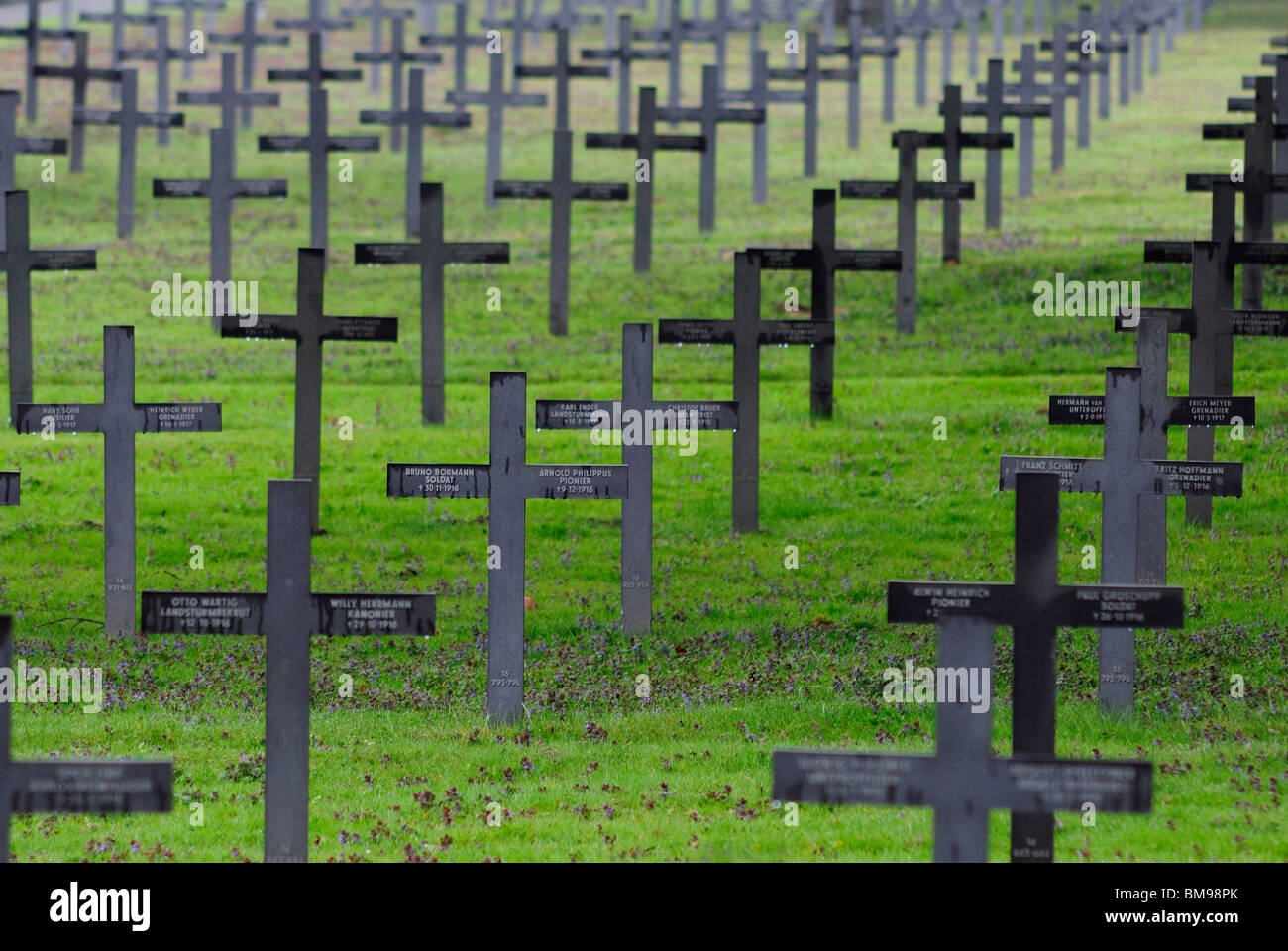 First world war graves iron hi-res stock photography and images - Alamy