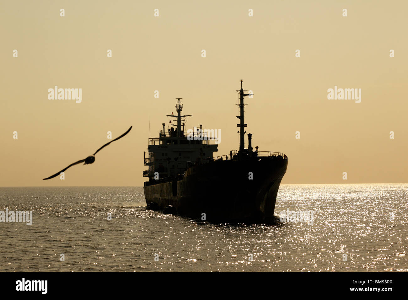 Pacific ocean cargo ship hi-res stock photography and images - Alamy