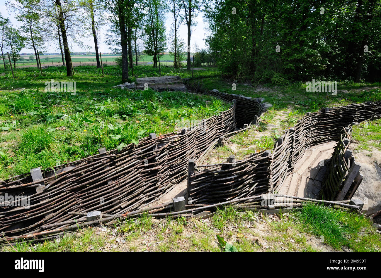 German First World War preserved trenches at Bayernwald, Ypres Salient ...