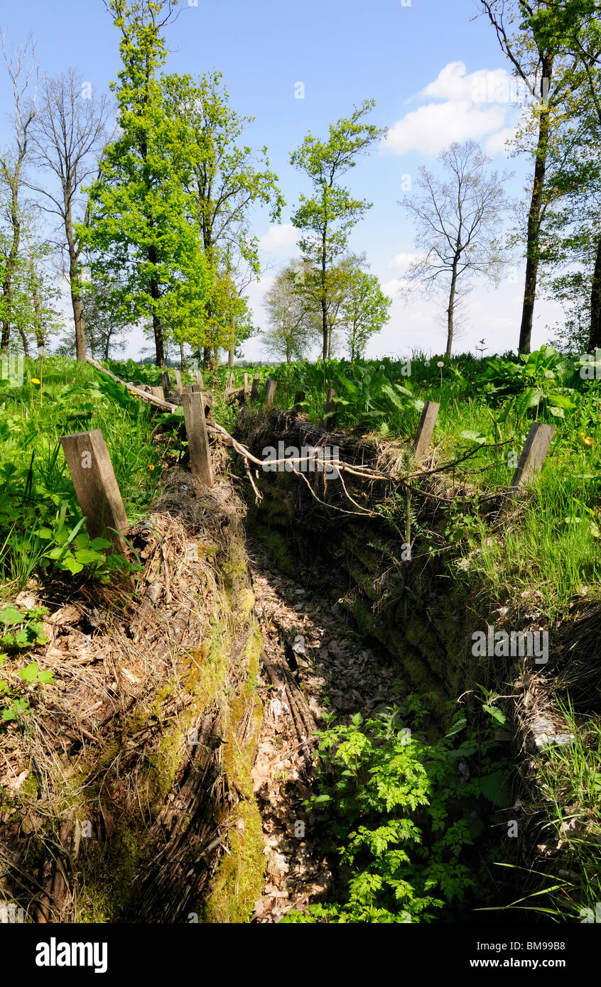 German First World War original trench at Bayernwald, Ypres Salient ...