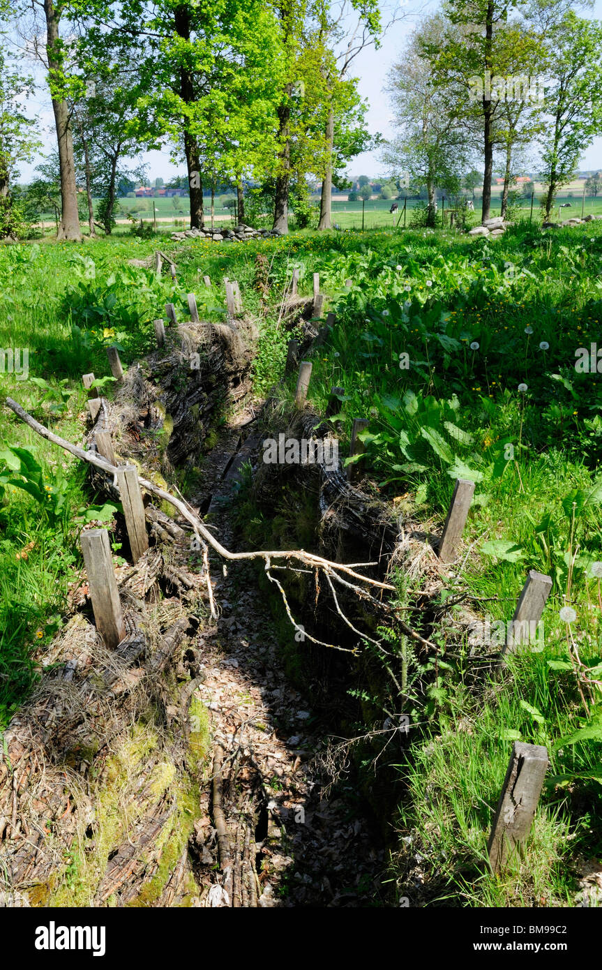 German First World War original trench at Bayernwald, Ypres Salient ...