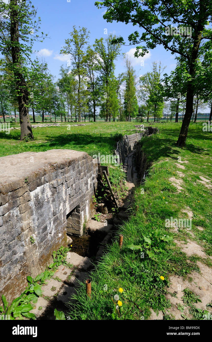 German concrete dugout, First World War preserved trenches at ...