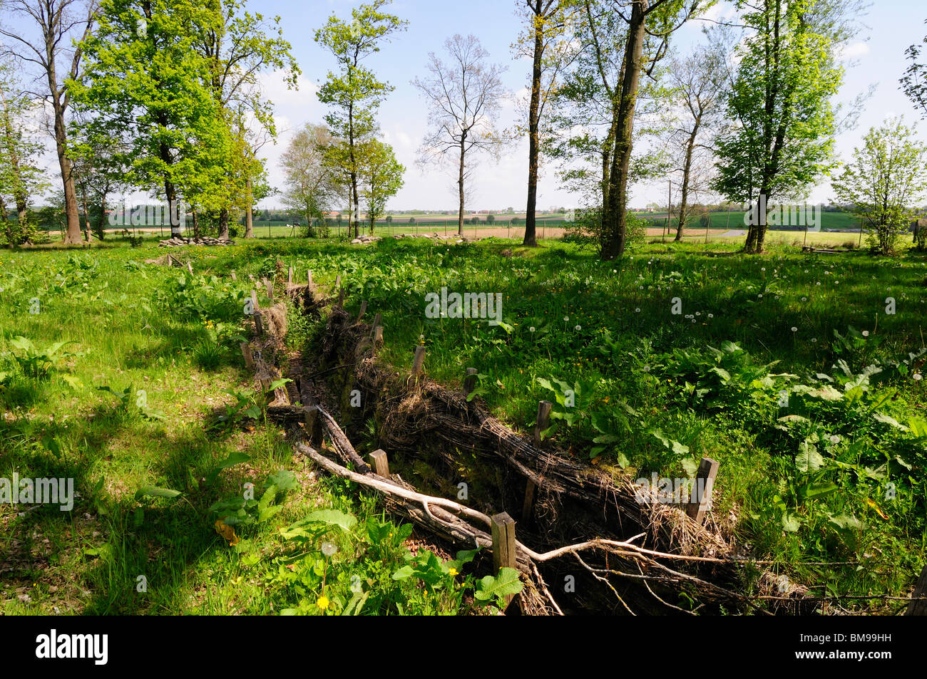 German First World War preserved trenches at Bayernwald, Ypres Salient ...