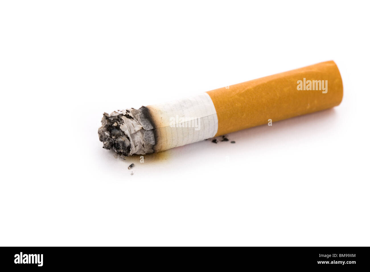 A Cigarette Butt with white background Stock Photo - Alamy