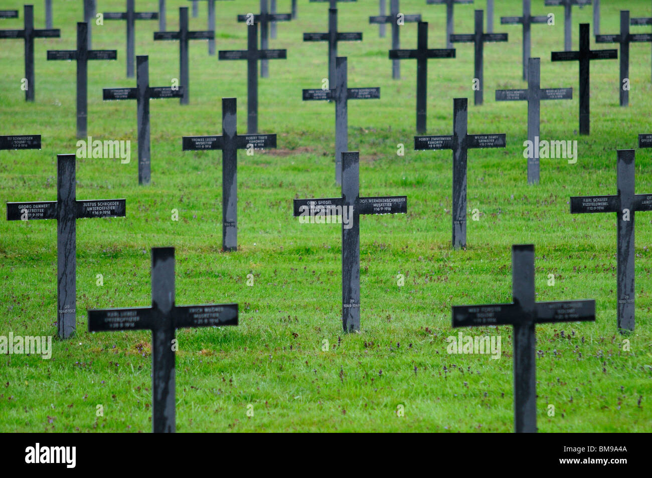 German war graves, World War One cemetery, Neuville-St Vaast, France ...