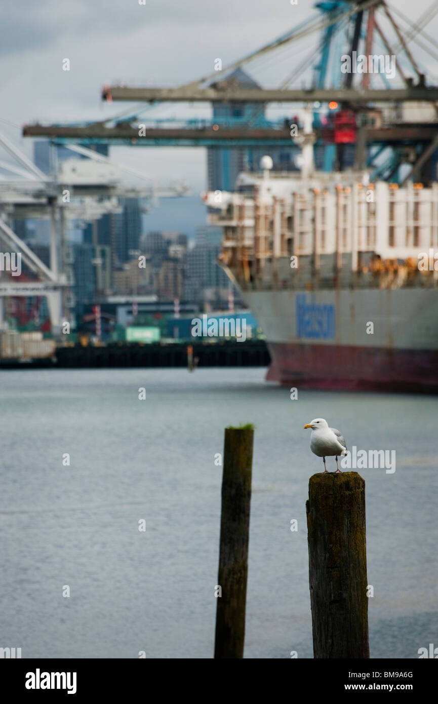 Port of Seattle, Seattle, Washington, USA. Cargo ships are loaded with ...