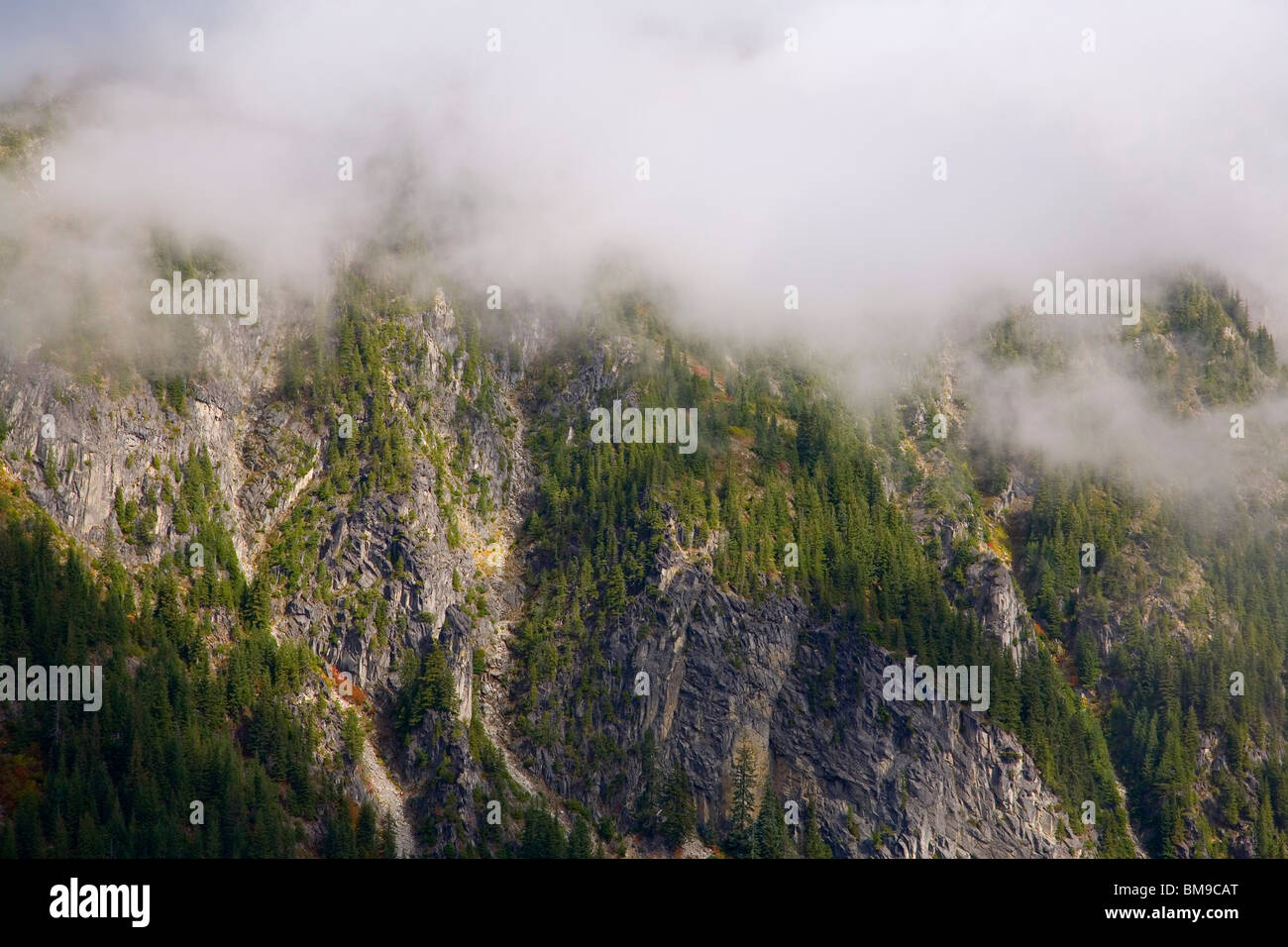 Stevens Pass, Mt. Rainier National Park, Washington, Usa Stock Photo ...