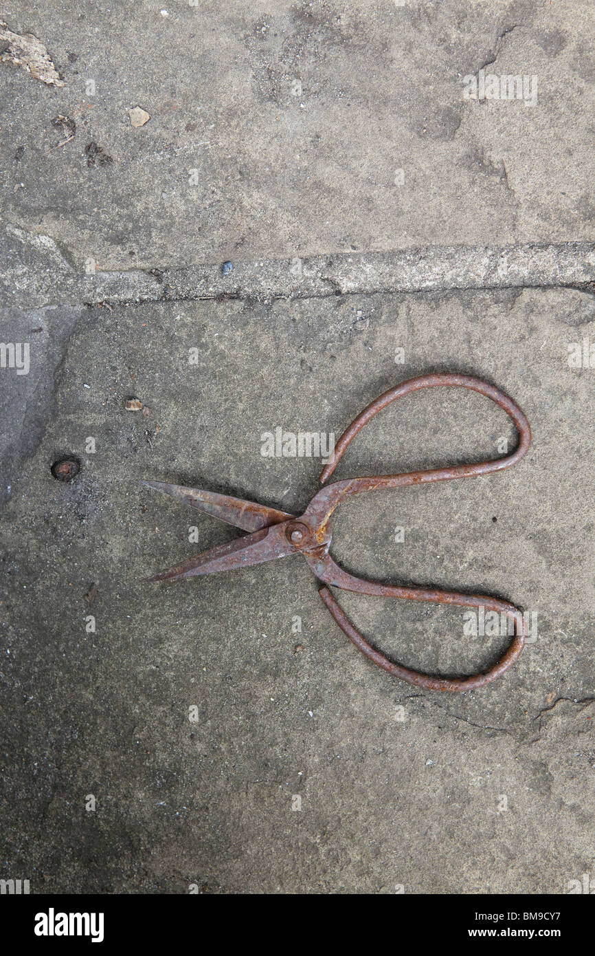 Rusty planting hi-res stock photography and images - Alamy