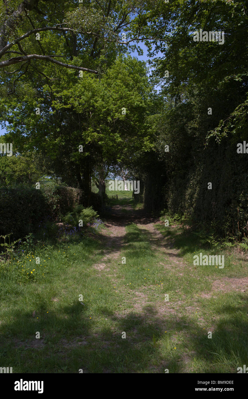 footpath track way Stock Photo - Alamy