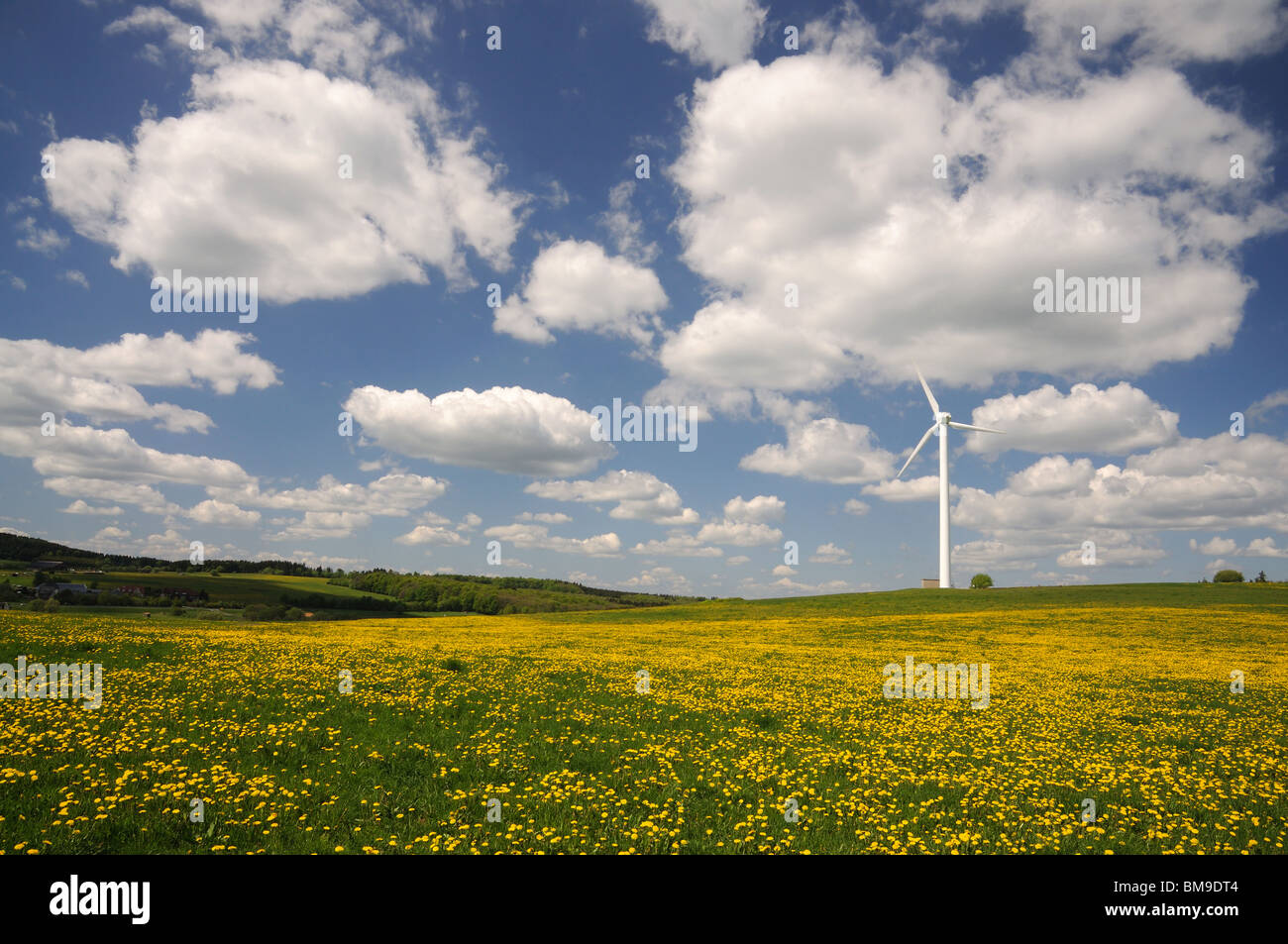 Flowers on wind hi-res stock photography and images - Alamy