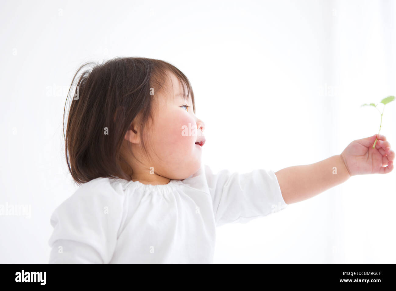 Baby girl holding sapling Stock Photo - Alamy