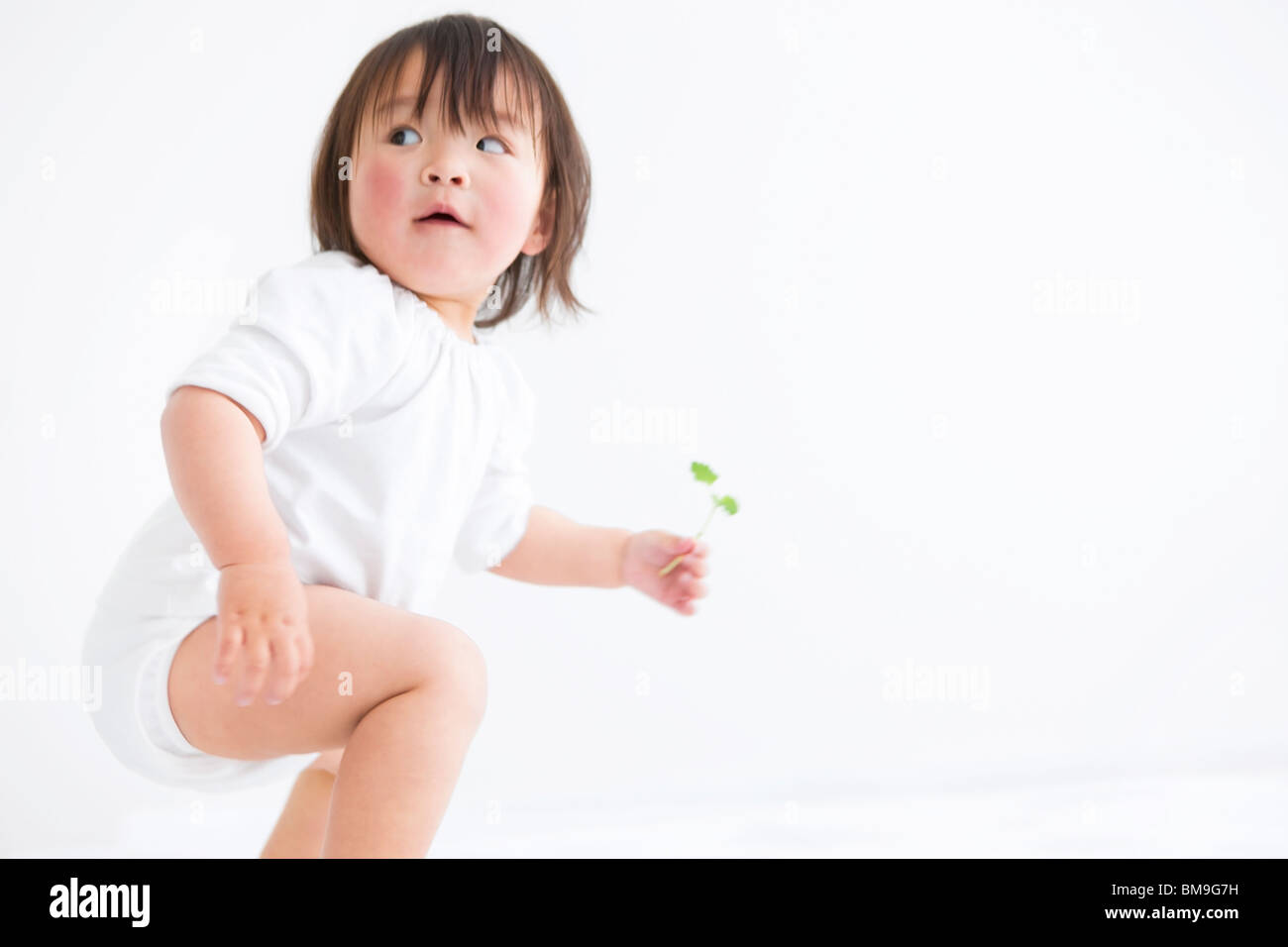 Baby girl crouching and holding sapling Stock Photo - Alamy