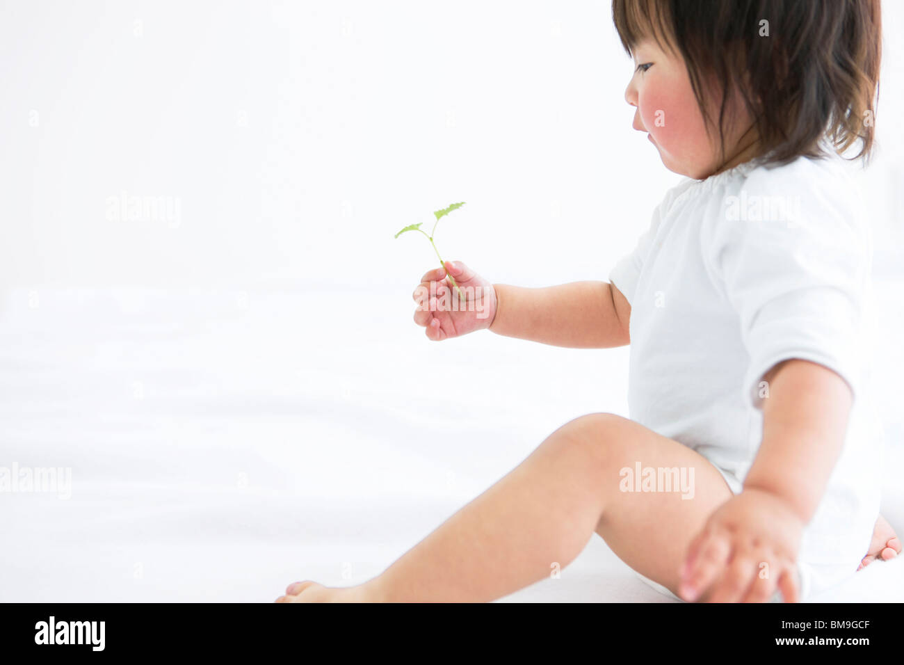 Baby girl holding sapling Stock Photo - Alamy