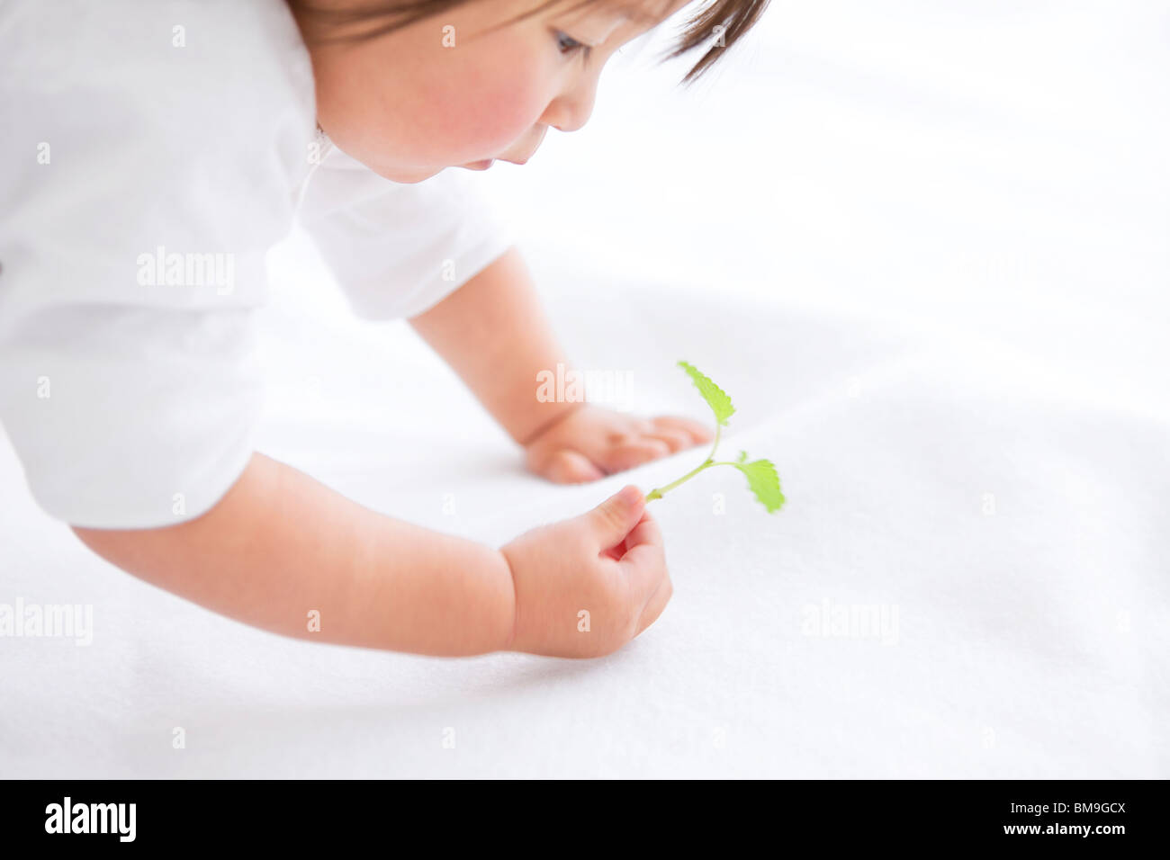 Baby girl holding sapling Stock Photo - Alamy