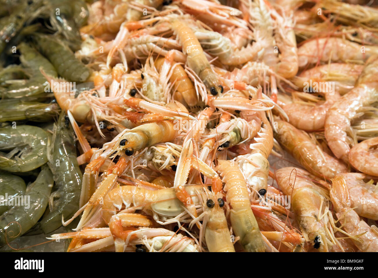 Fresh prawns and shrimps on the market Stock Photo - Alamy