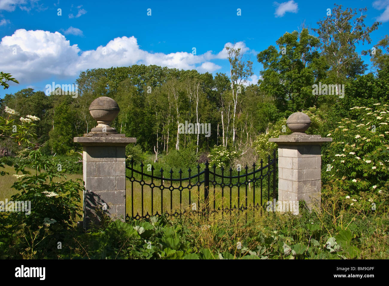 Overgrown garden gate hi-res stock photography and images - Alamy