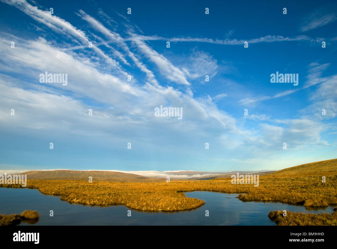 Peat bogs yorkshire hi-res stock photography and images - Alamy
