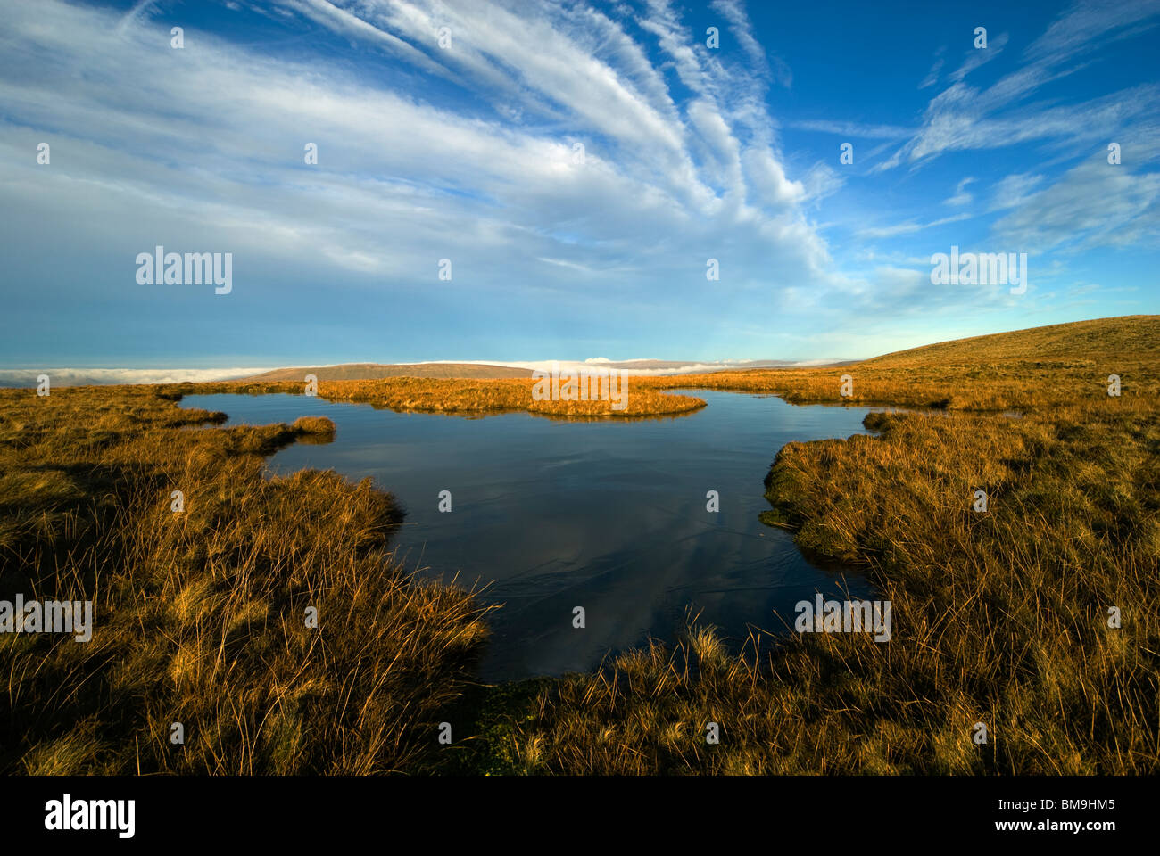 Peat bog england hi-res stock photography and images - Alamy