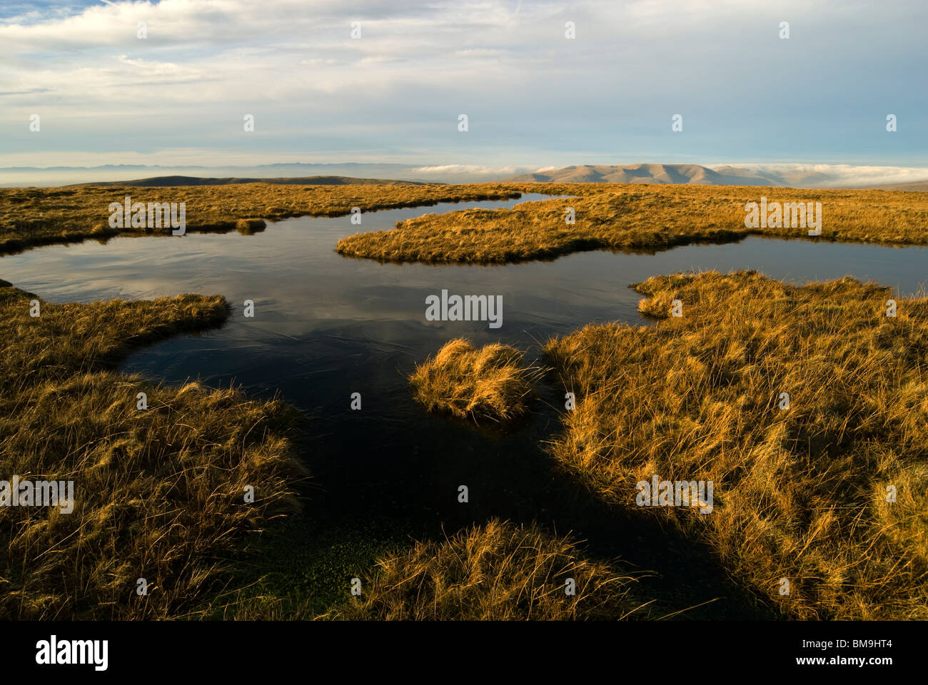 A pool in the peat bogs on Great Coum, above Dentdale, Yorkshire Dales ...