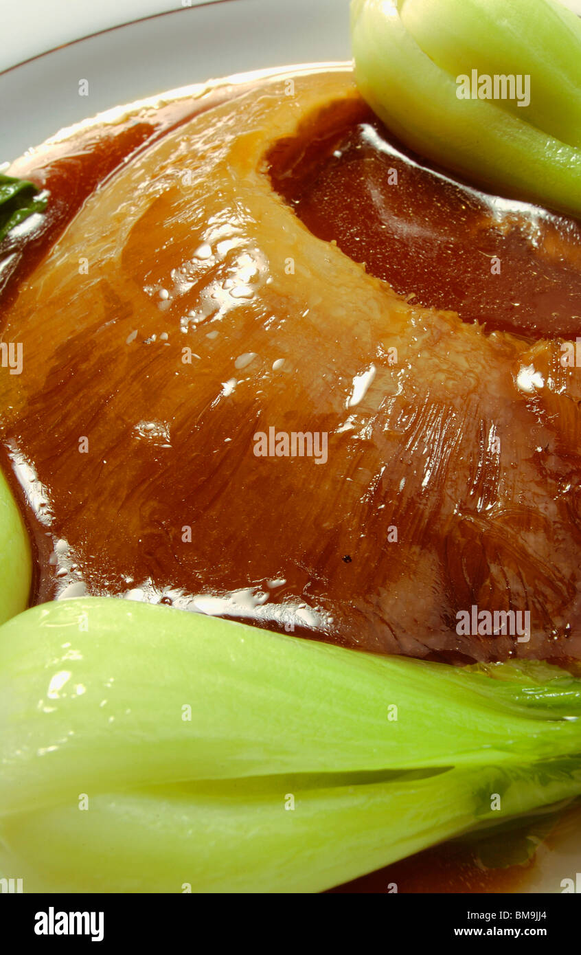 Chinese high fin shark hi-res stock photography and images - Alamy