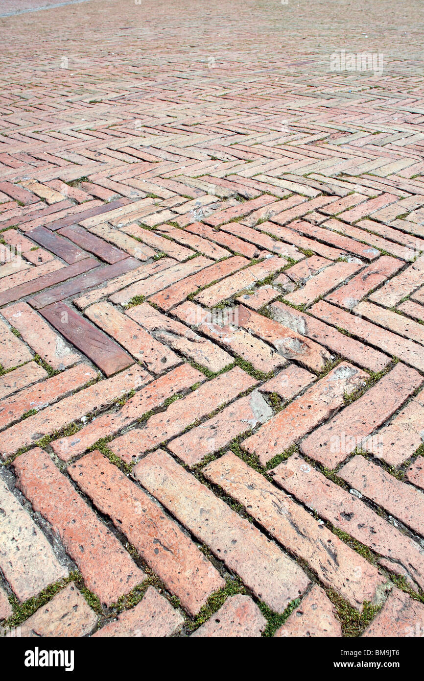 The bricks of the pavement of Piazza del Campo in Siena Stock Photo - Alamy