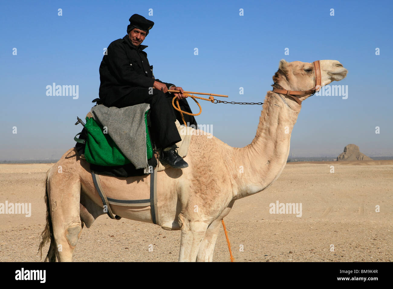 Mounted camel High Resolution Stock Photography and Images - Alamy