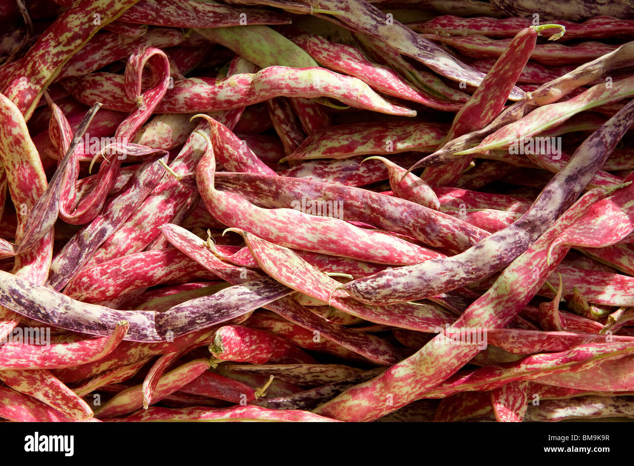 red runner beans, market stall, italy Stock Photo - Alamy