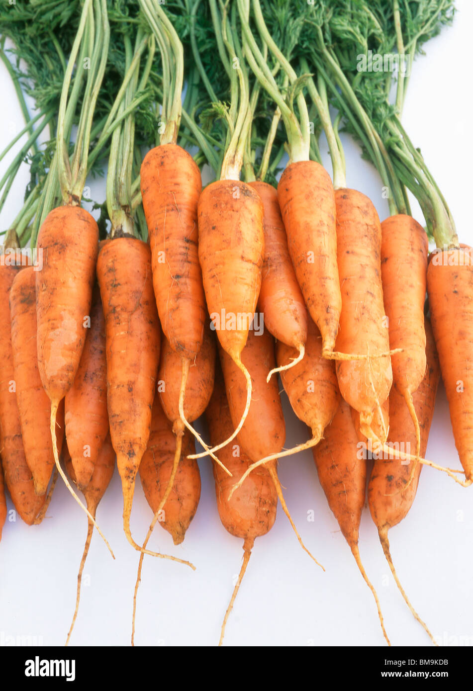Carrot closeups hi-res stock photography and images - Alamy