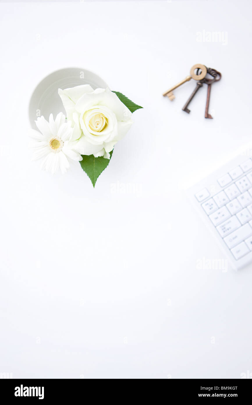 White flowers, keys and computer keyboard, white background Stock Photo ...