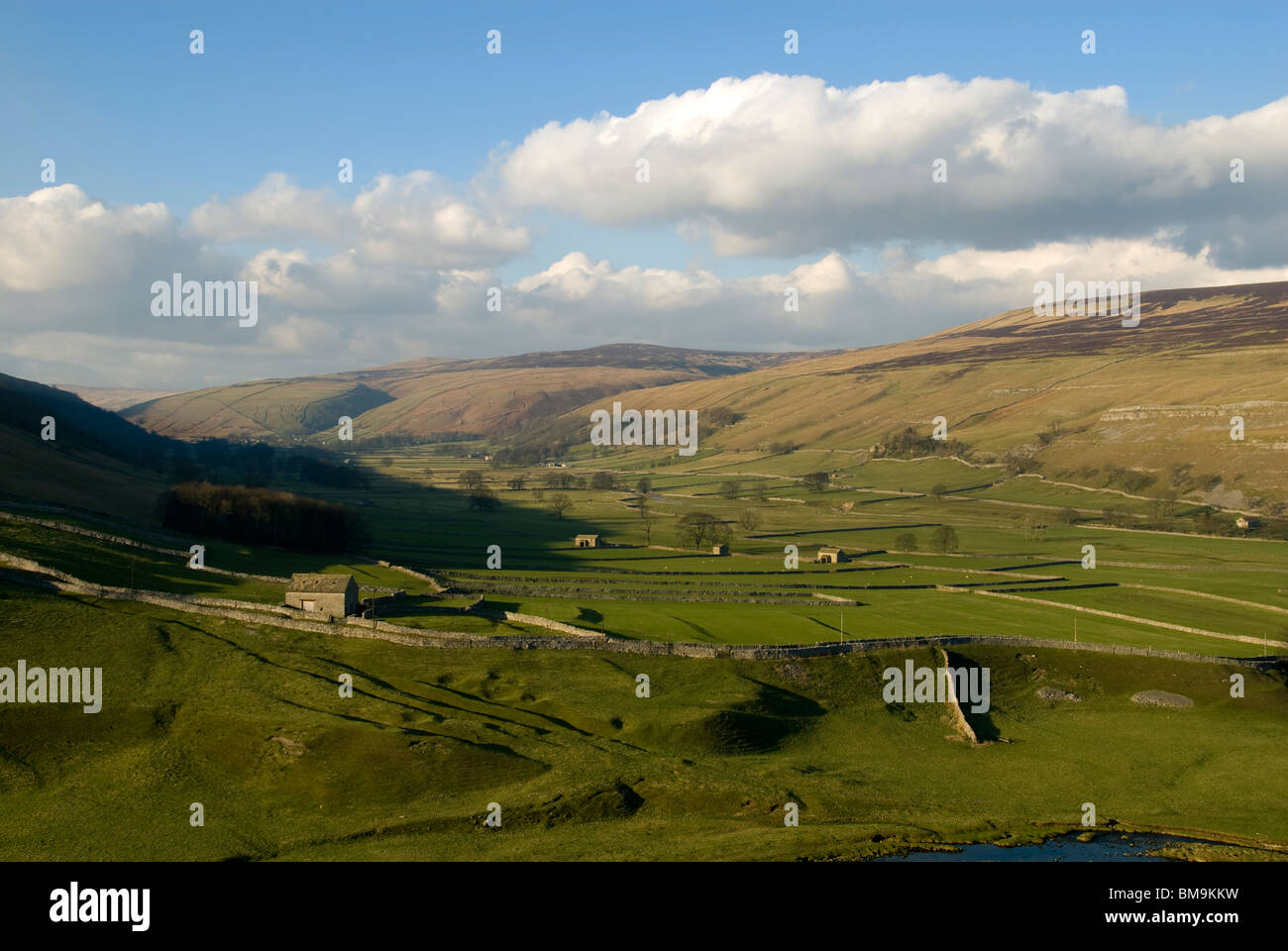 Monks Dale Uk High Resolution Stock Photography and Images - Alamy