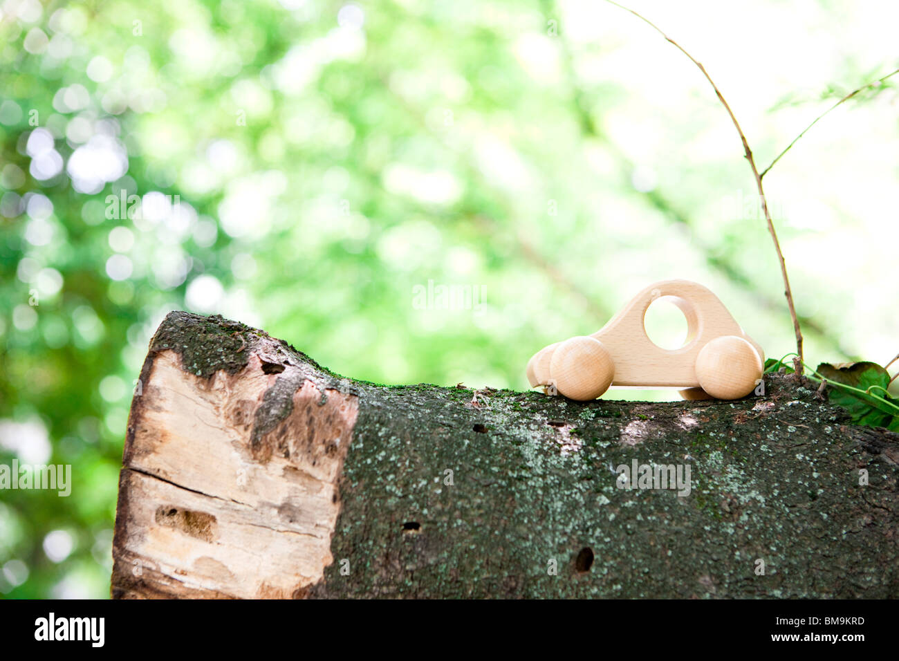 Toy car on tree trunk Stock Photo - Alamy