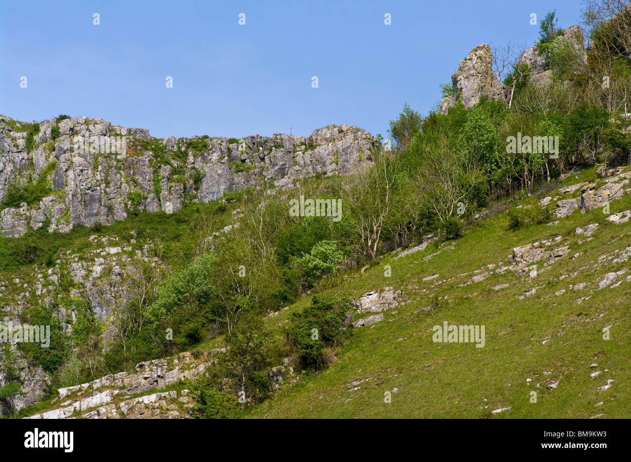 The Limestone Cliffs Of Cheddar Gorge Somerset England Stock Photo - Alamy