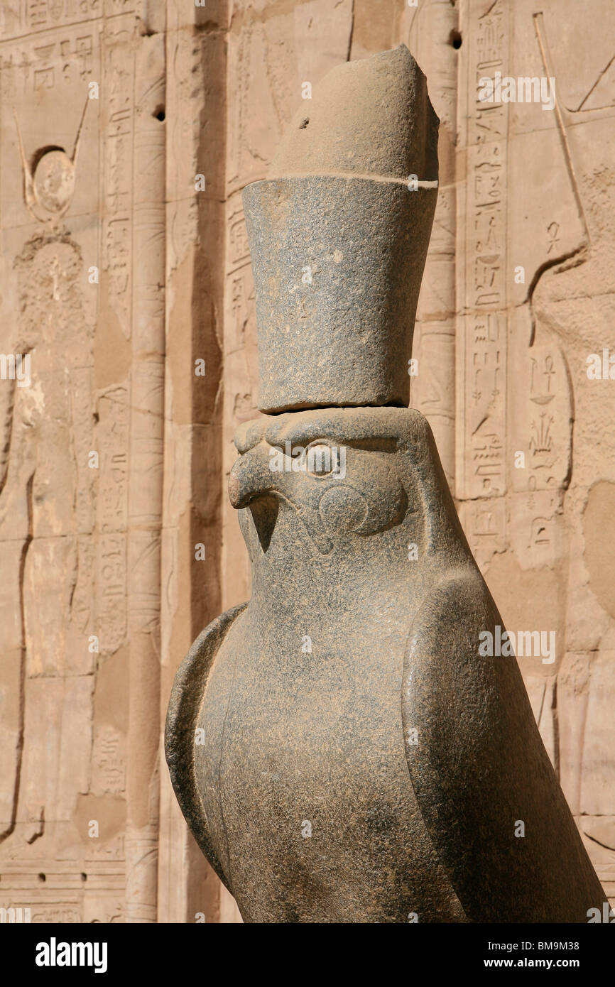Statue of the falcon god Horus at the Horus Temple in Edfu, Egypt Stock ...