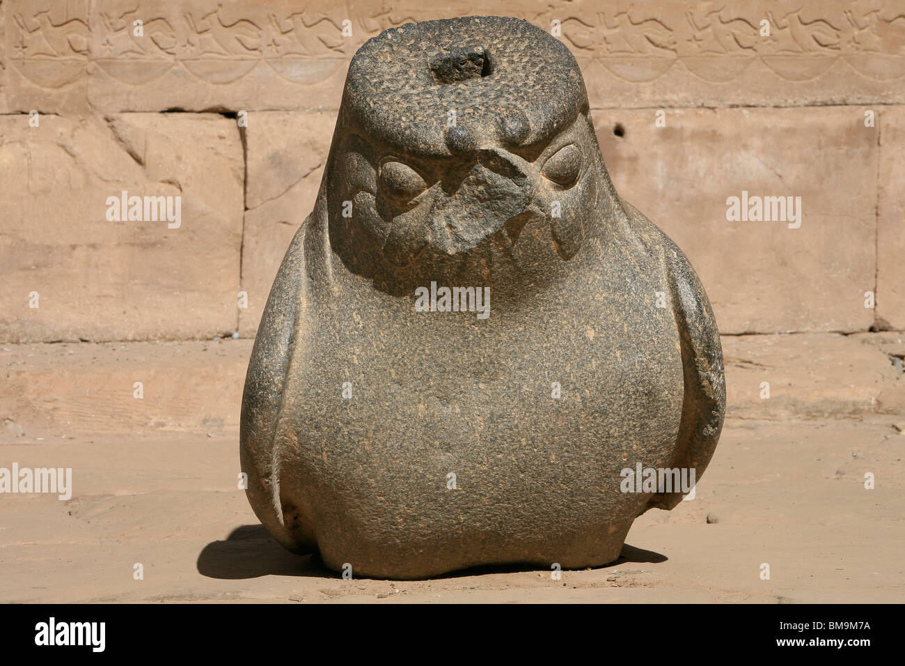 Statue of the falcon god Horus at the Horus Temple in Edfu, Egypt Stock ...